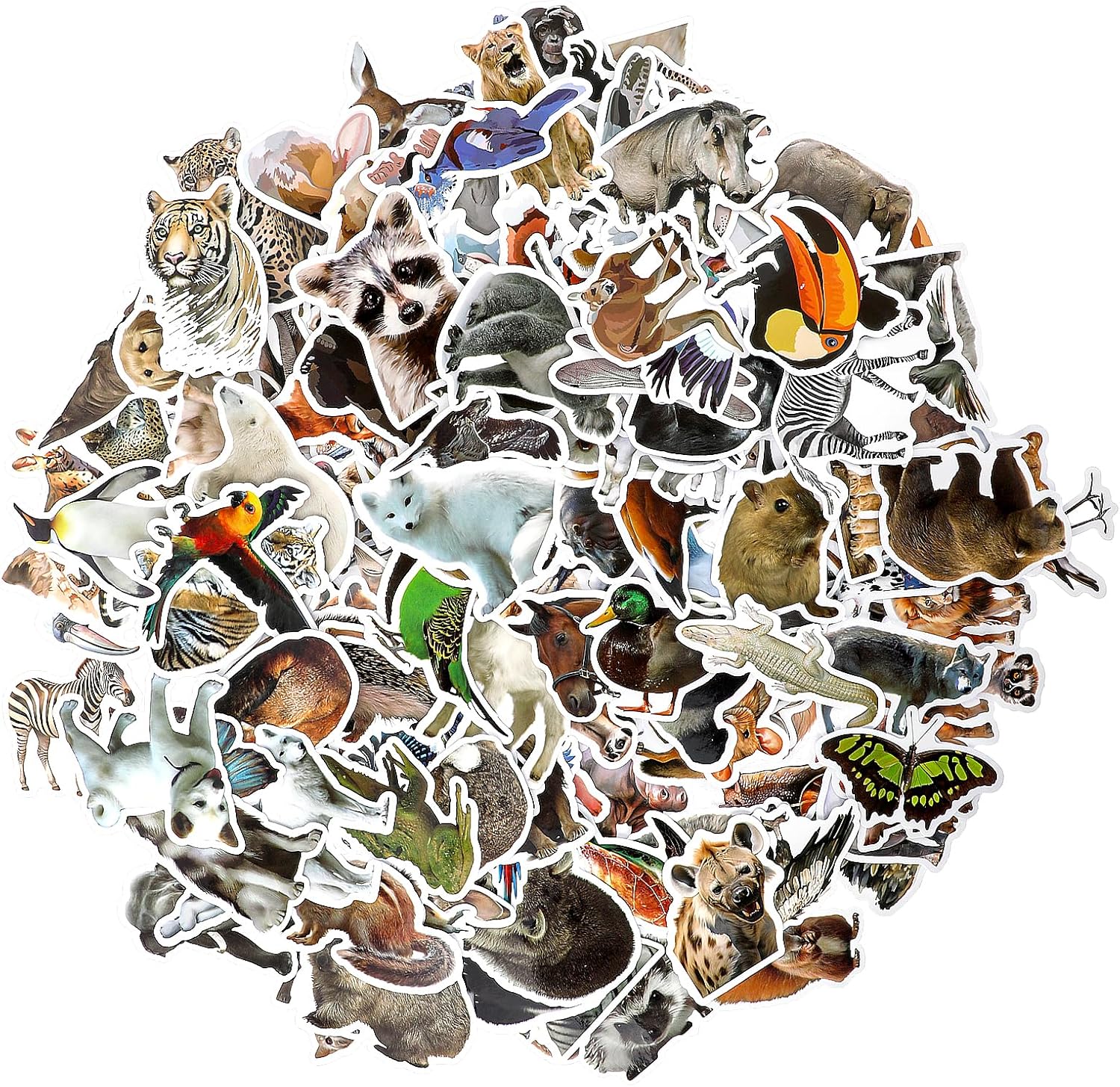 Amazon.com: 200 Pcs Cute Animal Stickers, Colorful Jungle Realistic ...