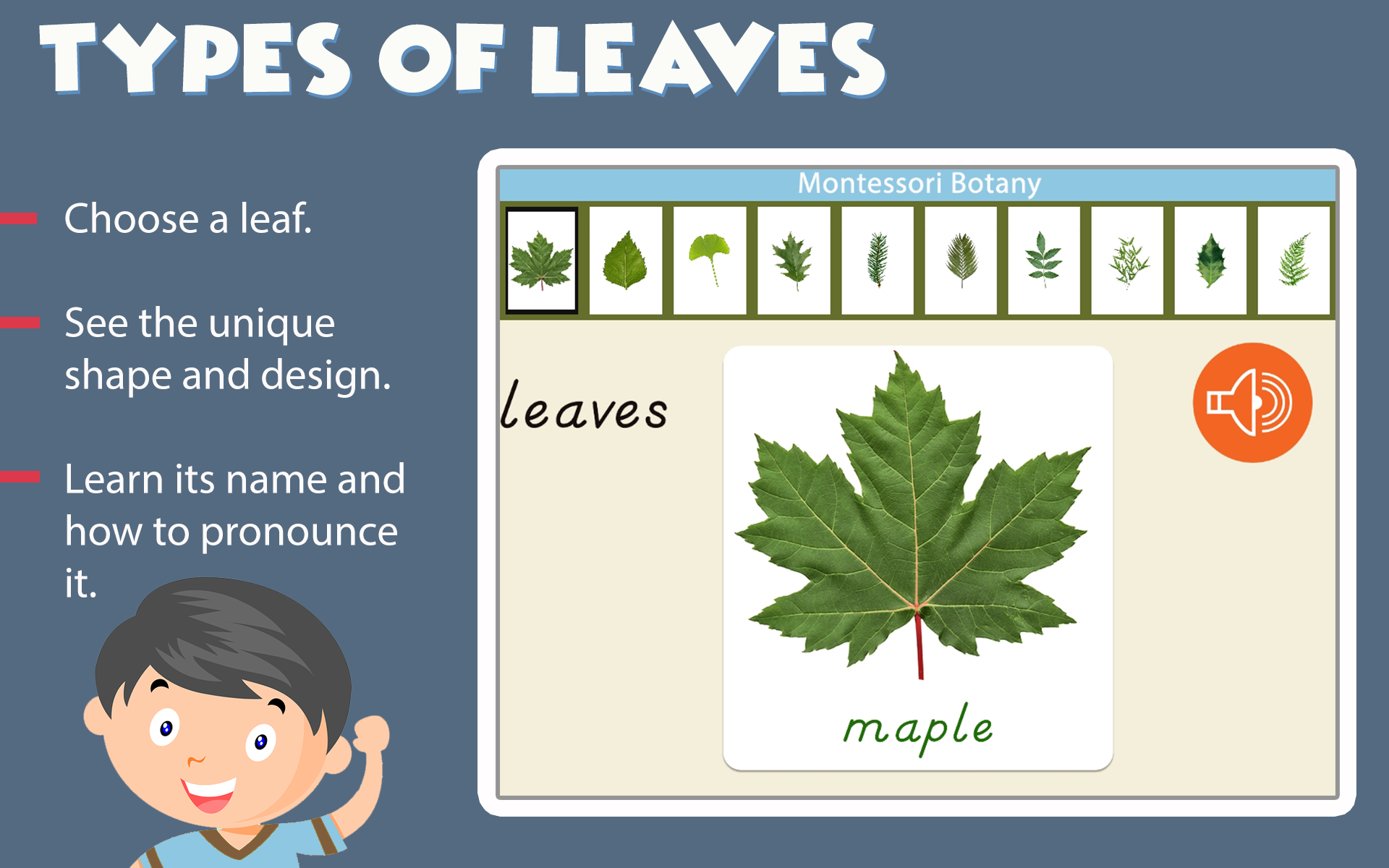 Montessori Botany - Parts of Plants - App on Amazon Appstore