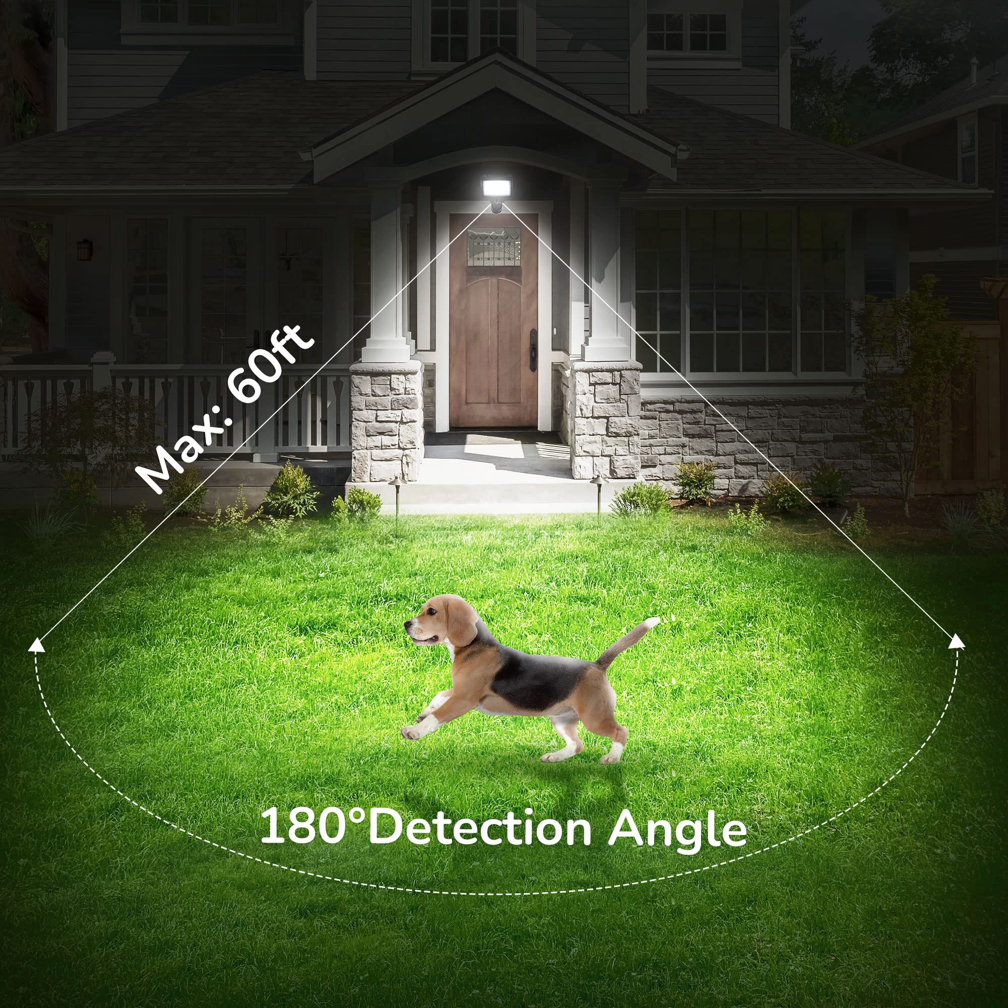 Snapklik.com : Motion Sensor, Automatic Dusk To Dawn, 120V AC Motion ...