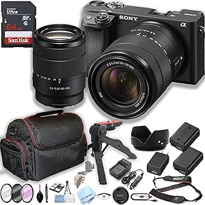 Amazon.com : Sony a6400 Mirrorless Camera with18-135mm Zoom Lens + 64GB Memory + Case+ Steady ...