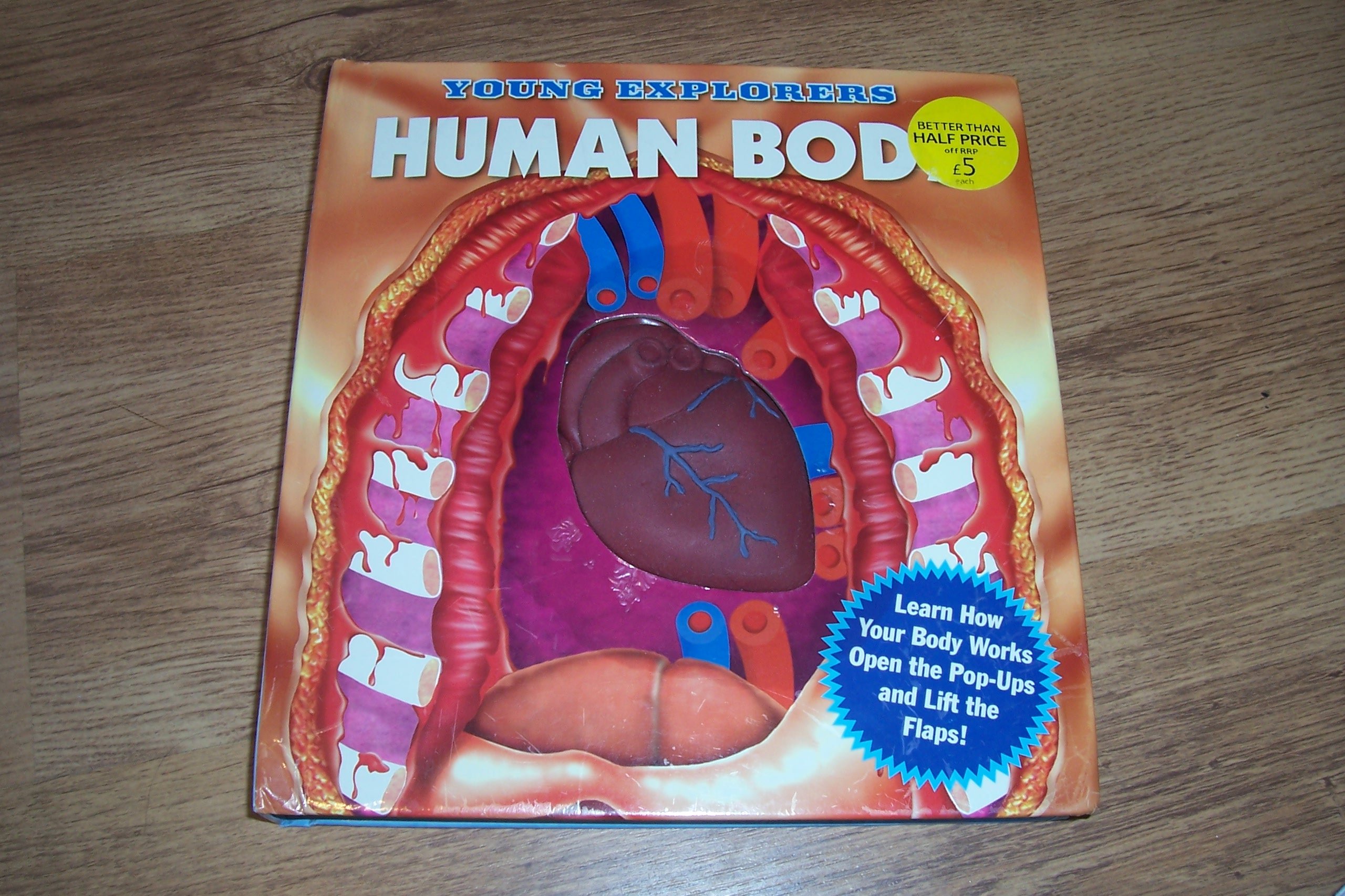 Young Explorers Human Body: Patrick Girouard: 9781848173064: Amazon.com ...