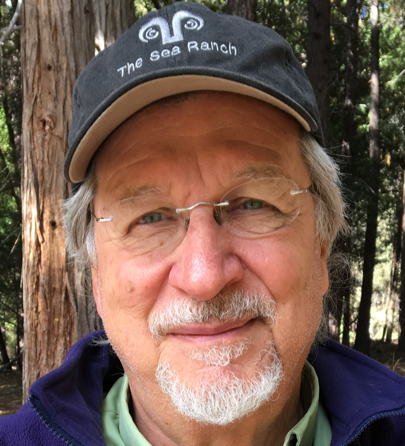 Amazon.in: John Moreschi: books, biography, latest update