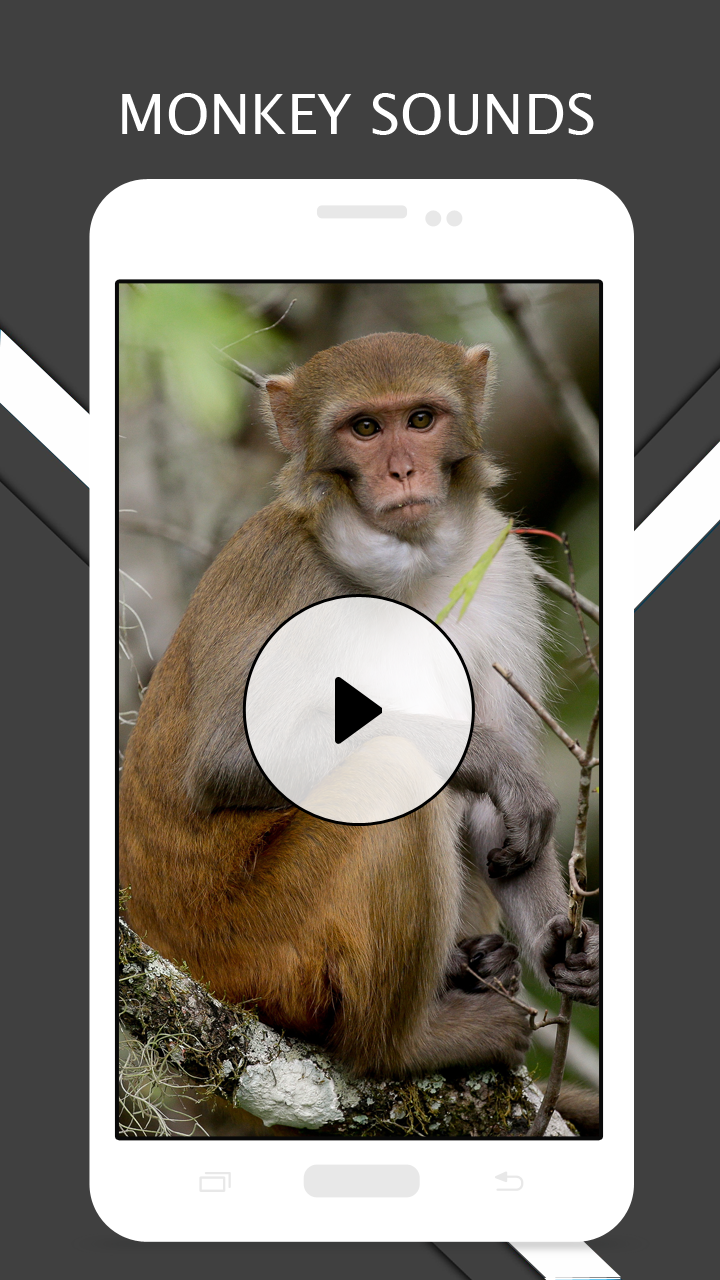 Aplicación Monkey Sound And Ringtones en Amazon Appstore