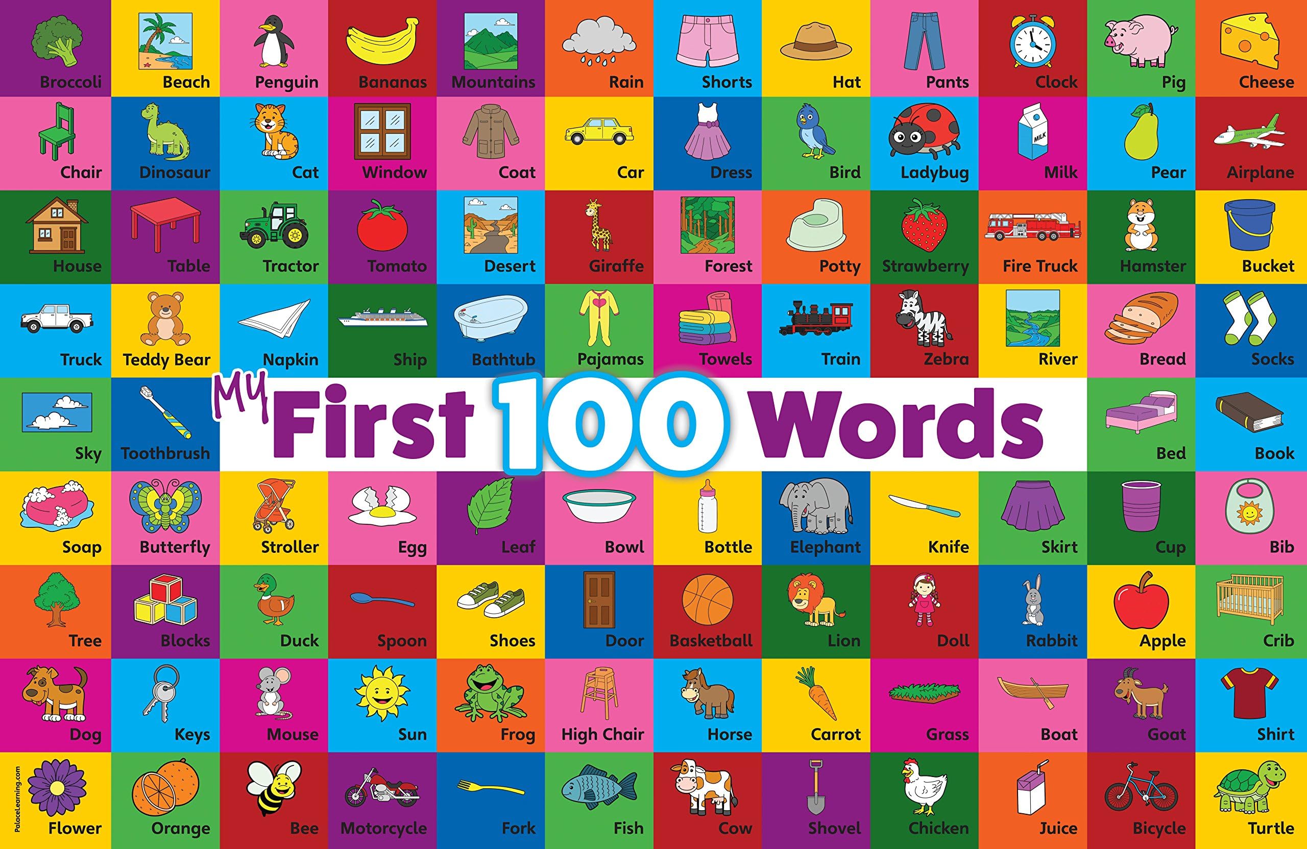 Amazon.com: Palace Learning My 100 First Words LAMINATED Poster (18 x ...
