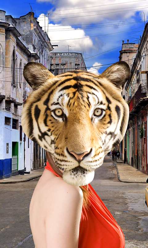 Animal Face - App on Amazon Appstore