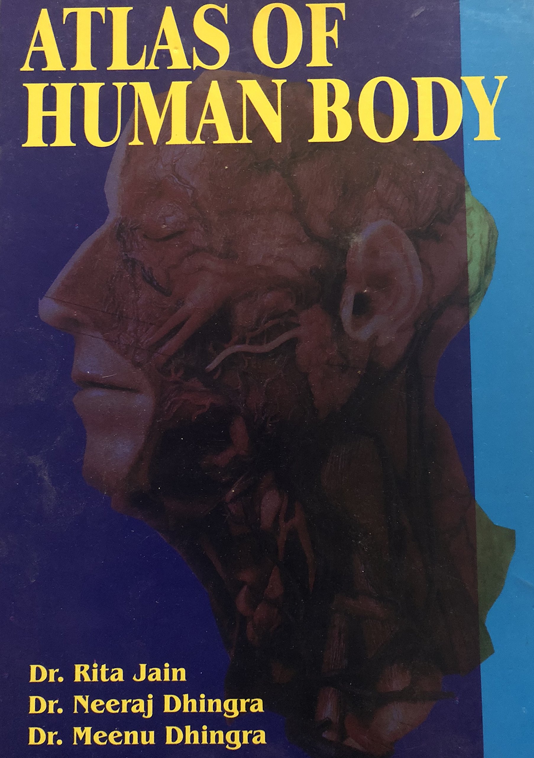 Buy Atlas of Human Body [Paperback] Dr. Rita Jain, Dr. Neeraj Dhingra ...