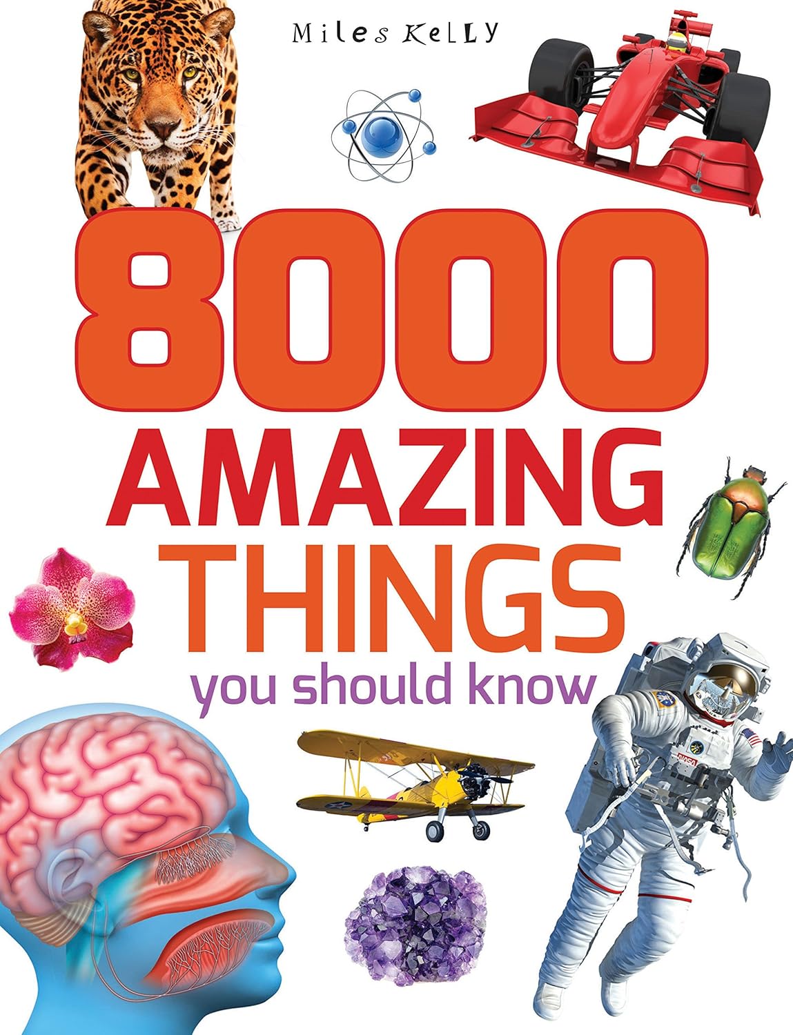 8000 Amazing Things You Should Know: Kelly, Miles: 9781786170811 ...