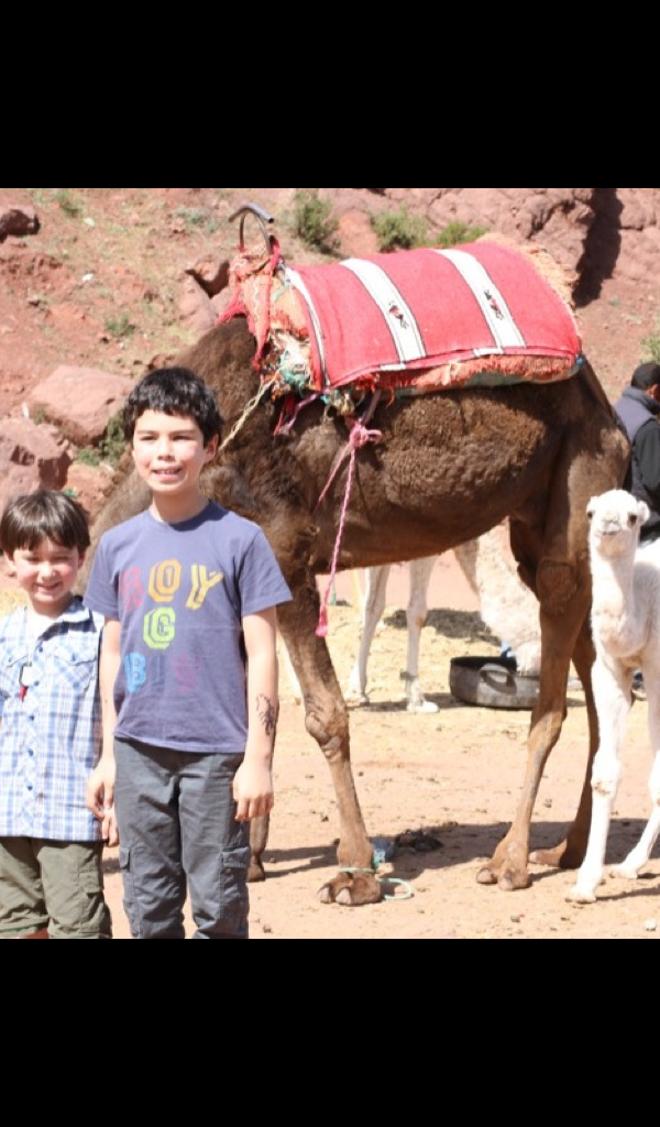 Baby Camel Wallpaper -- HD Wallpapers of Baby Camels! - App on Amazon ...