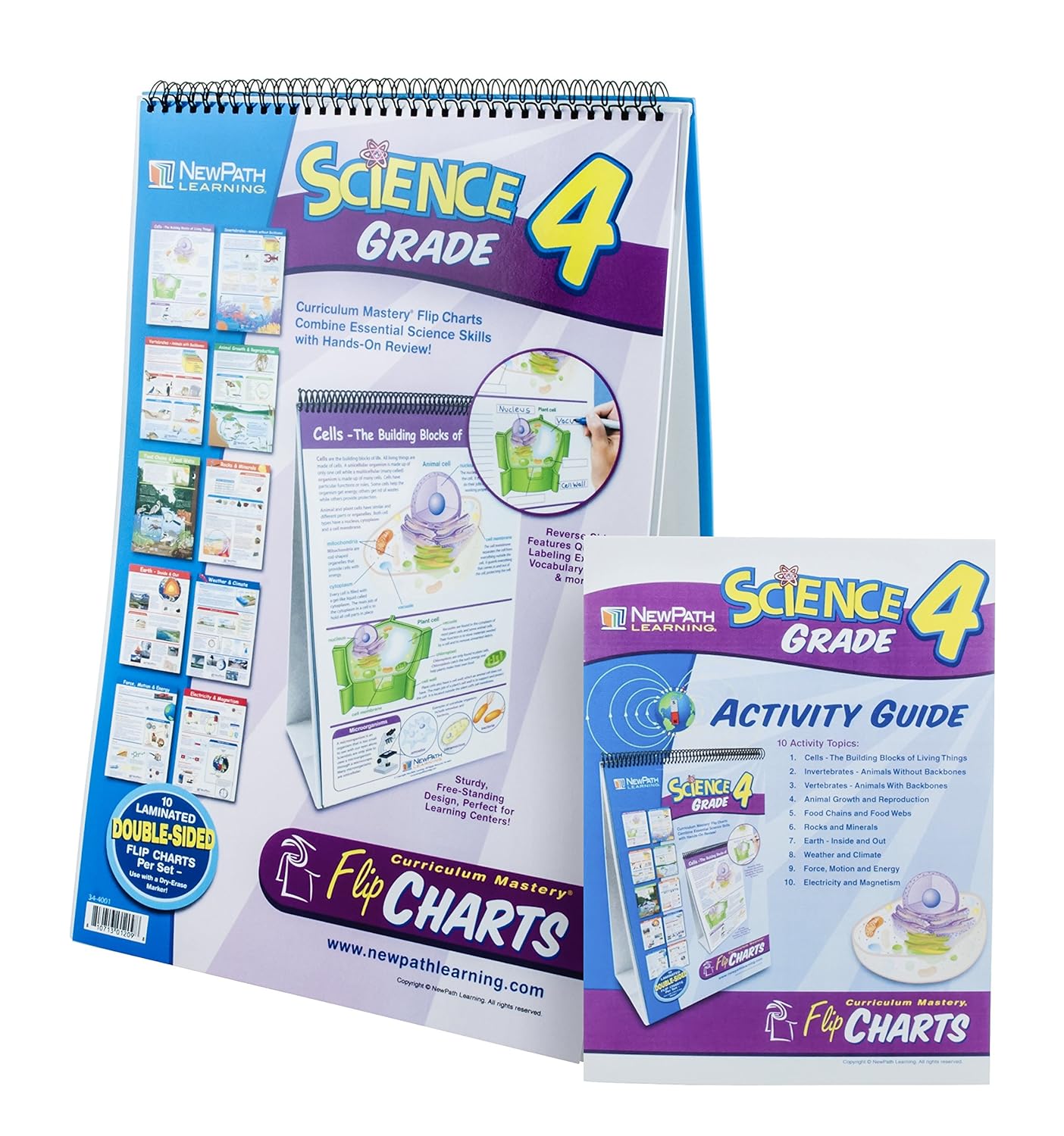 Eisco Science Grade 4, Educational Flip Charts : Amazon.in: Home & Kitchen