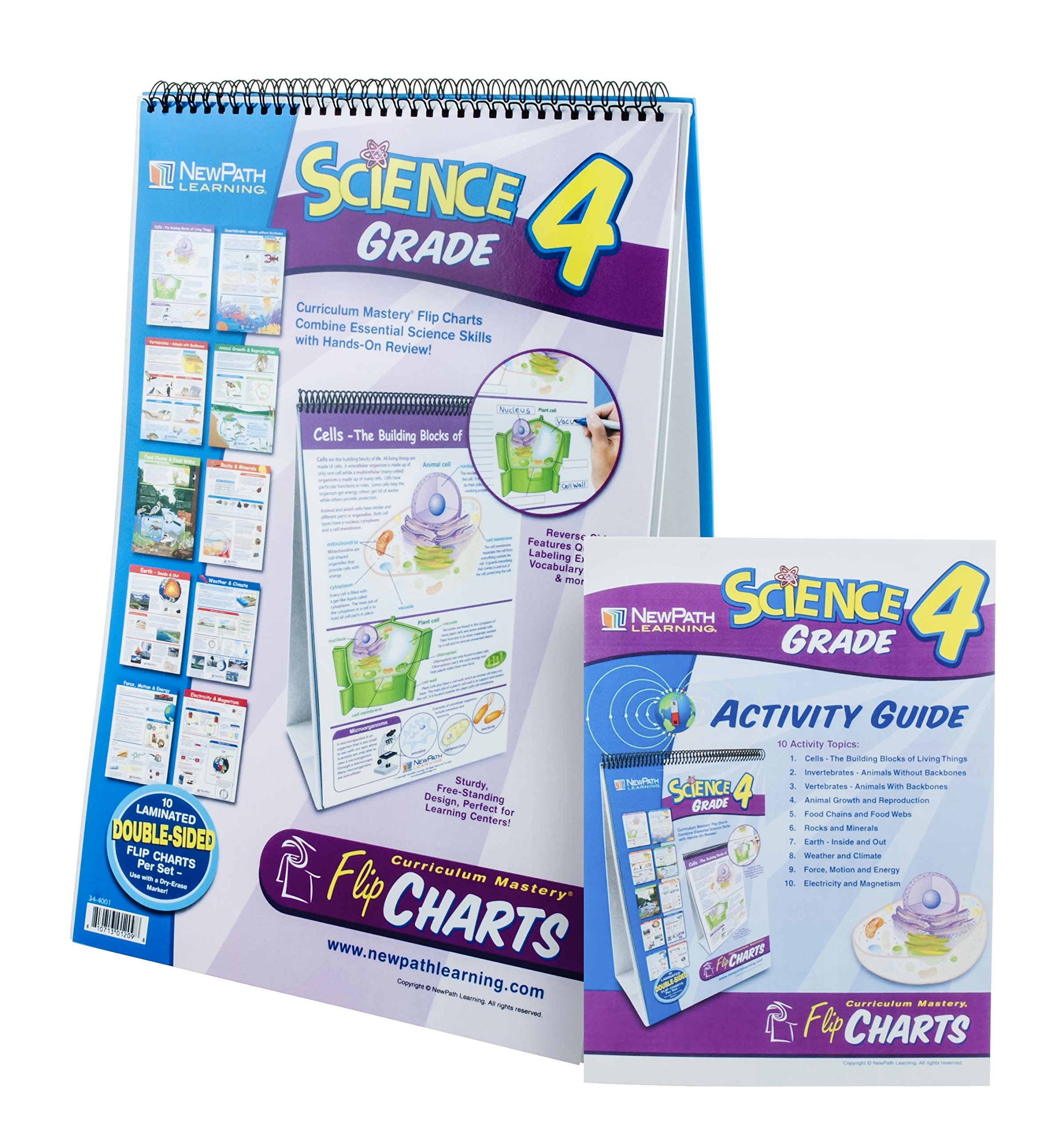 Eisco Science Grade 4, Educational Flip Charts : Amazon.in: Home & Kitchen