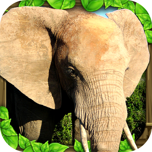 Elephant Simulator - App on the Amazon Appstore