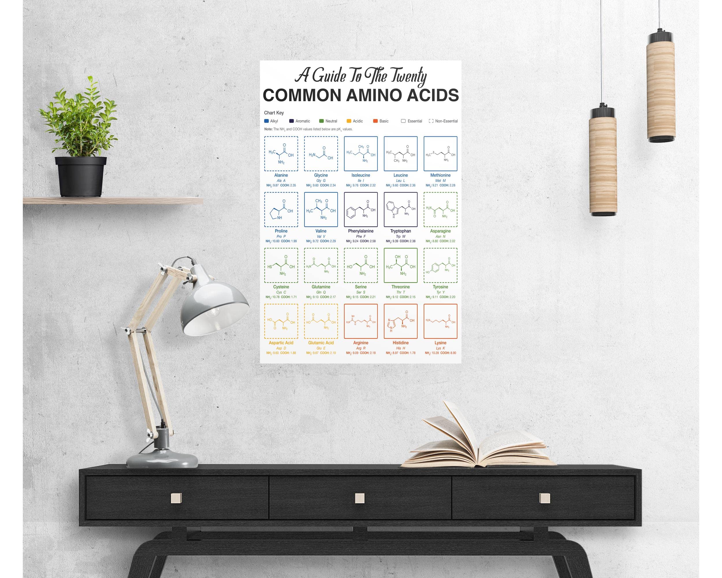 Printable Amino Acid Chart