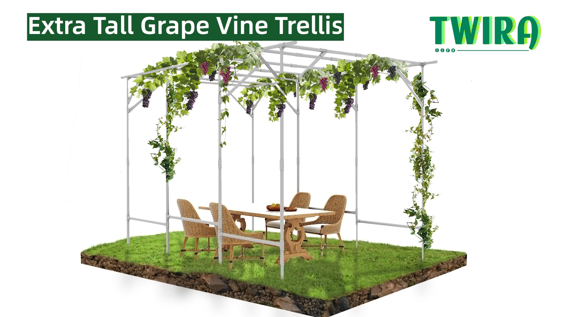 Commercial Grape Trellis Grape Trellising And Training Basics | USU
