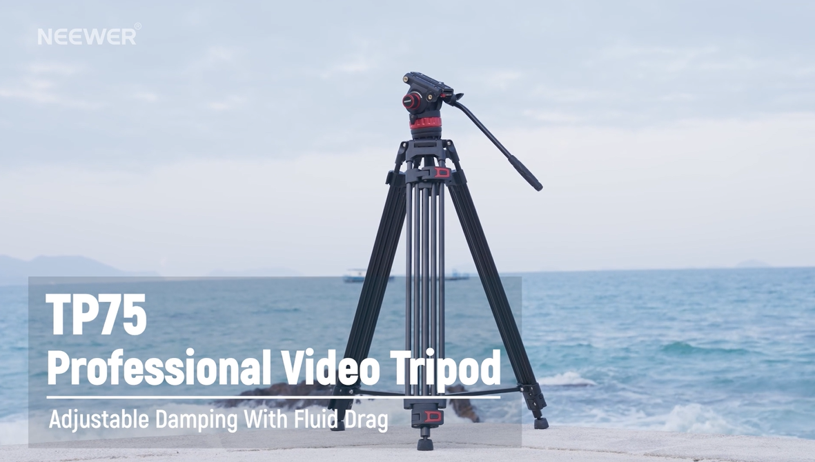 Amazon | NEEWER 189cm プロビデオ三脚 フルード雲台付き 全金属 高
