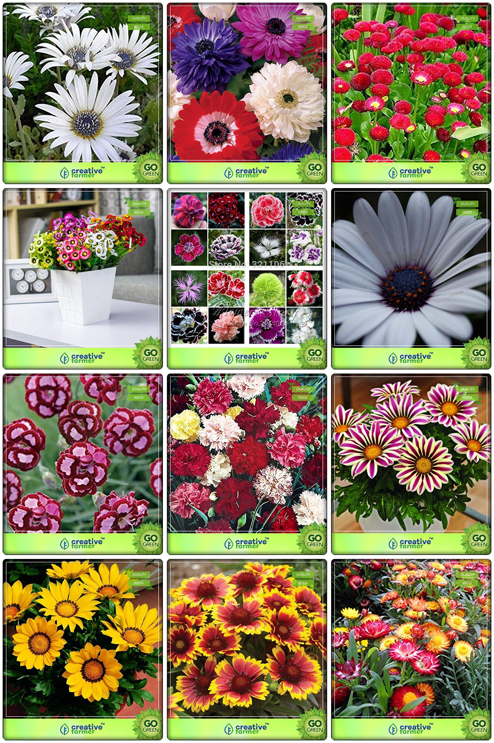 Buy Creative Farmer Gardening Plant Seed Combo Flower Seeds : Dasiya ...