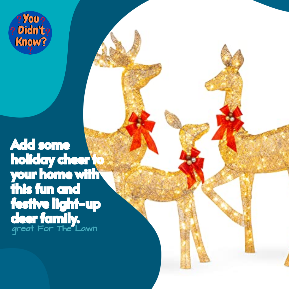 Watch Add some cheer to your home with this light-up deer family. on ...