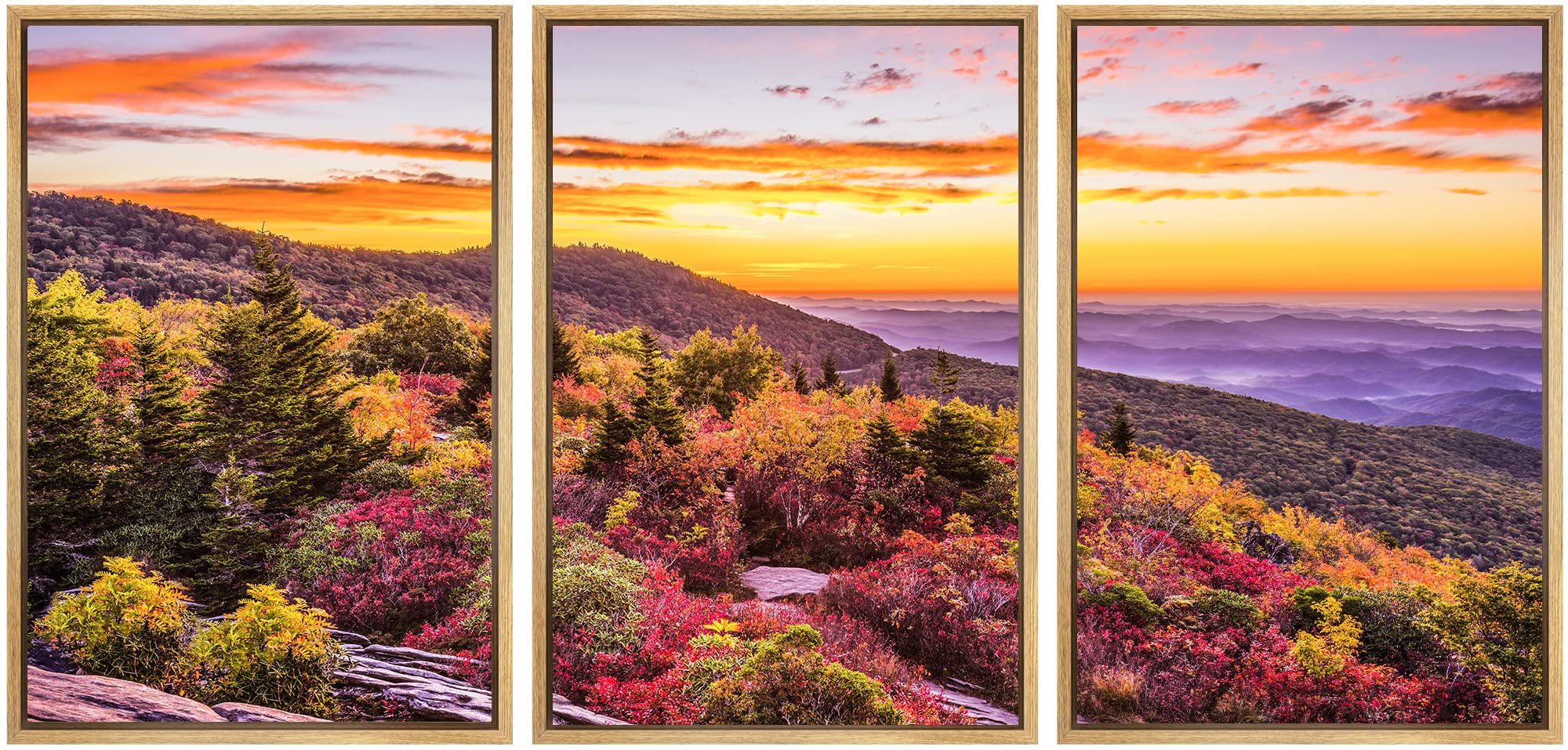 Rustic Nature Photography