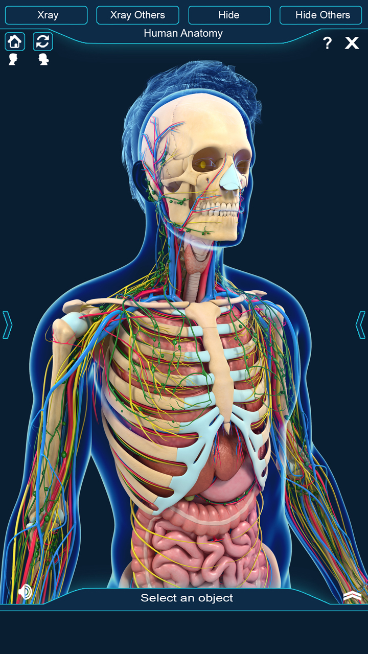Human Anatomy - Application sur Amazon Appstore