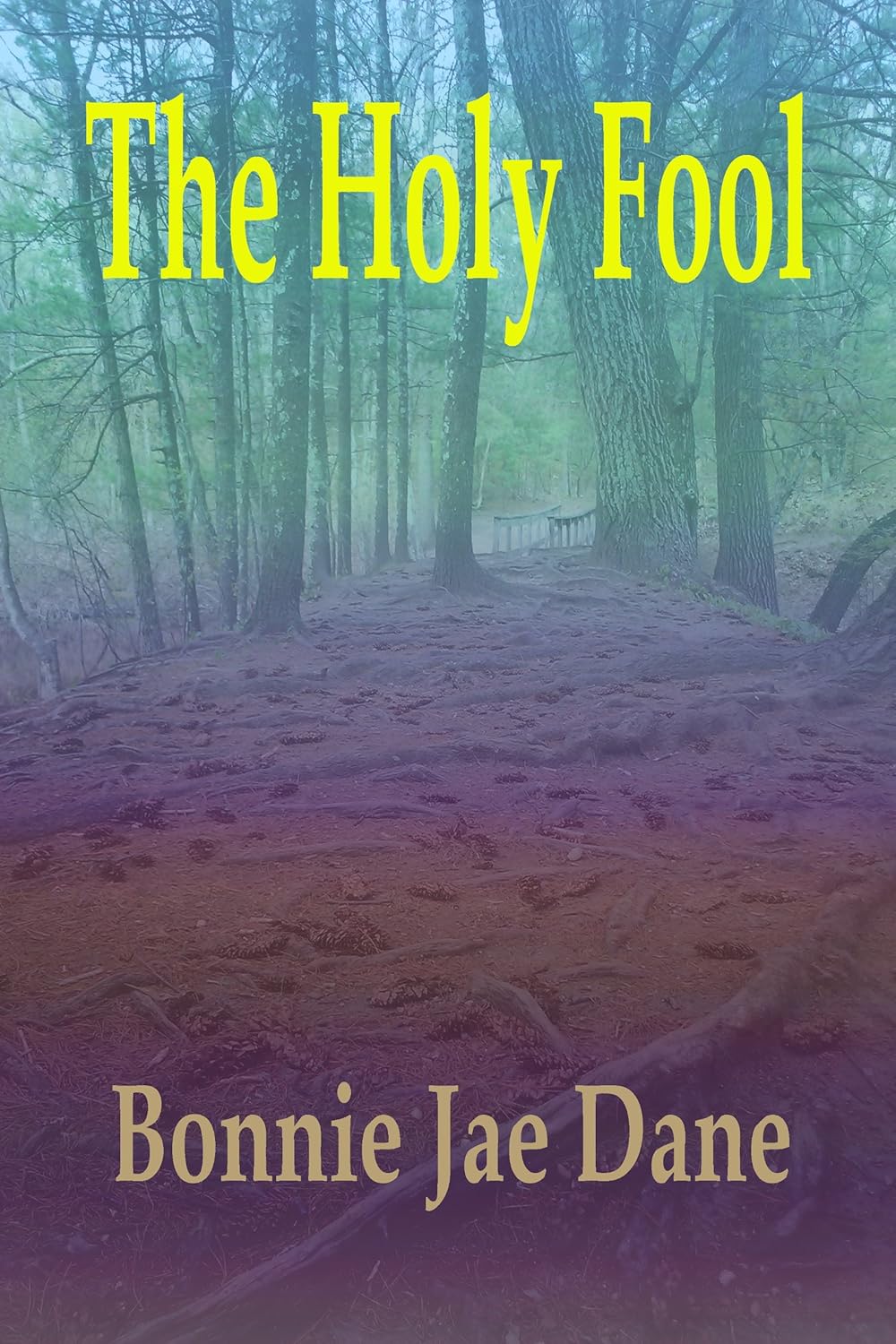 The Holy Fool A Short Story Kindle Edition By Dane Bonnie Jae the-holy-fool-a-short-story-kindle-edition-by-dane-bonnie-jae