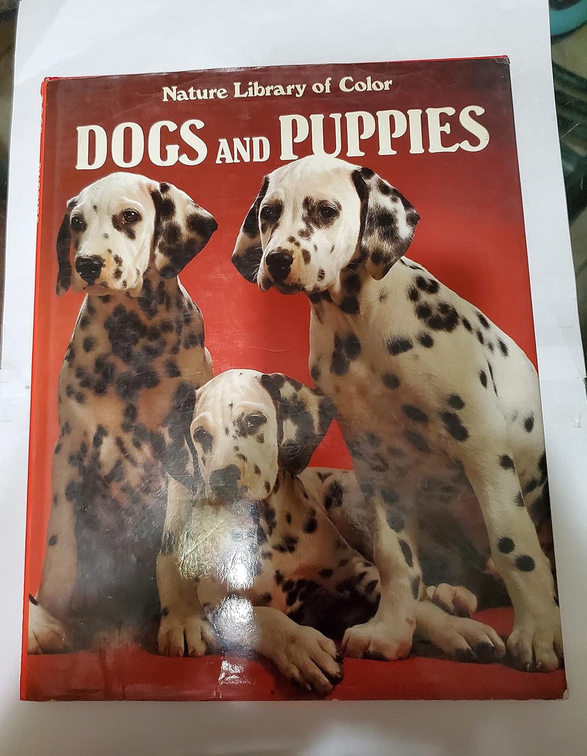 Nature Library Of Color: Dogs & Puppies: Rh Value Publishing ...