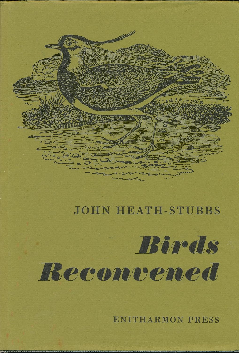 Birds reconvened: 9780905289618: Amazon.com: Books