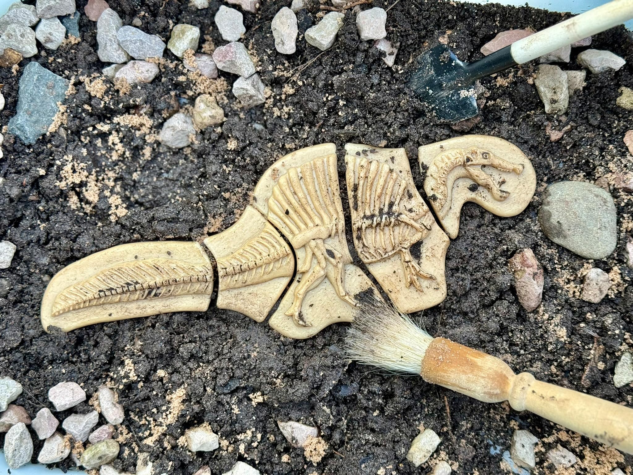 Yellow Door Dig and Discover – Triceratops & Spinosaurus |early ...