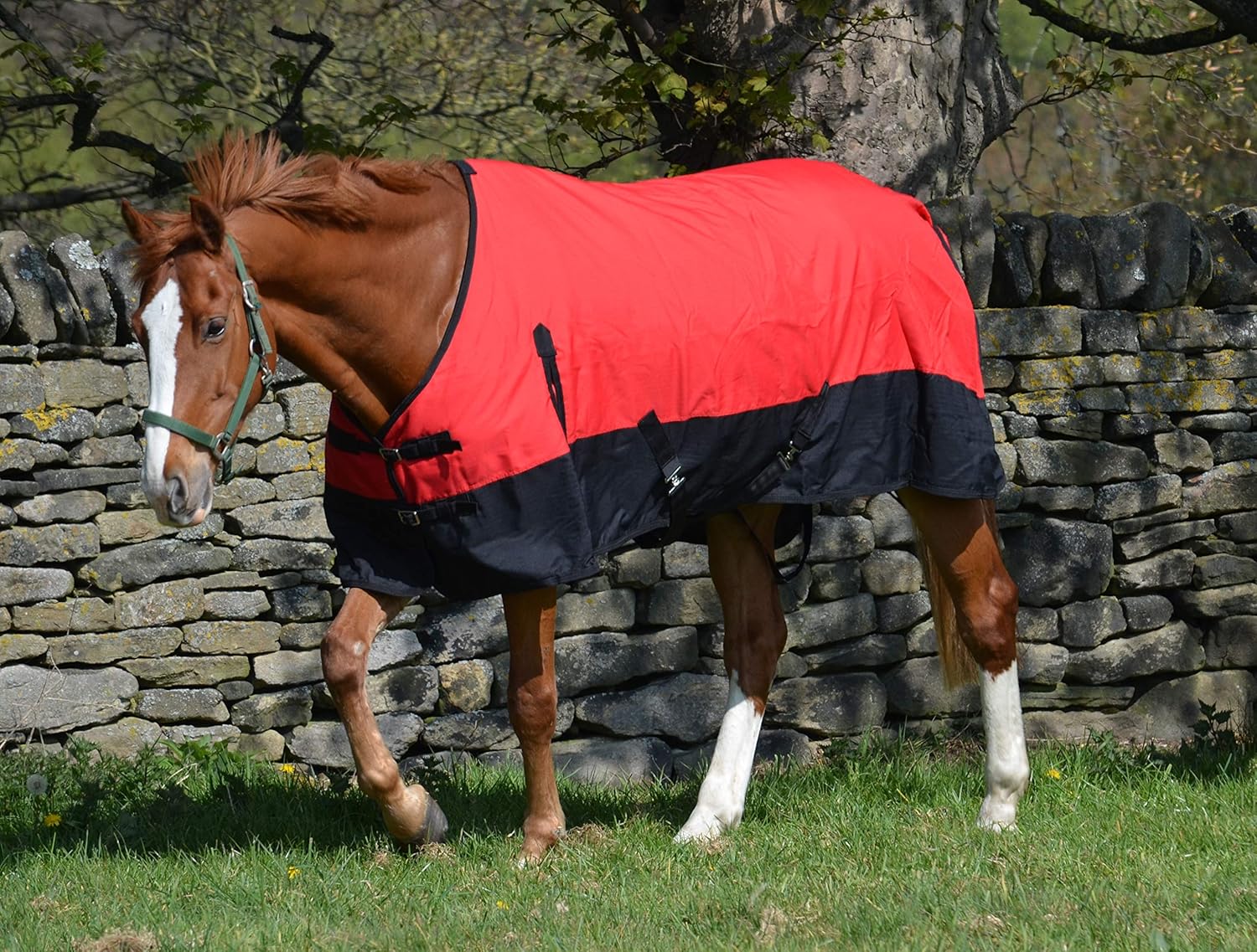 Amazon 600d Lightweight Waterproof Horse Turnout Rug 100g Fill