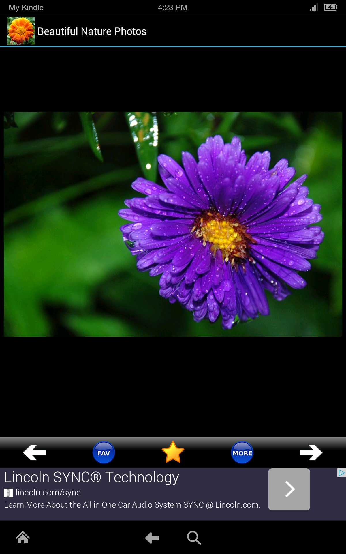 Beautiful Nature Photos!!! Relax with Amazing Natural Pictures of ...