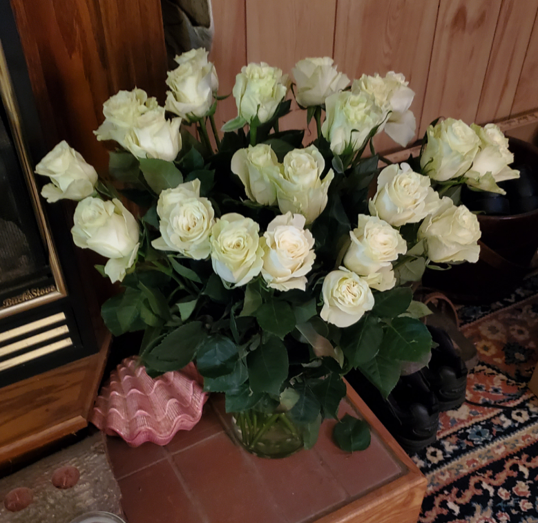 Amazon.com : Fresh Cut 24 White Roses - Fresh from the Farm White Rose ...