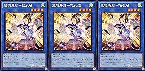 Amazon.co.jp: 【3枚セット】 遊戯王 AGOV-JP028 霊魂鳥影－姫孔雀 レア R エイジ・オブ・オーバーロード : おもちゃ