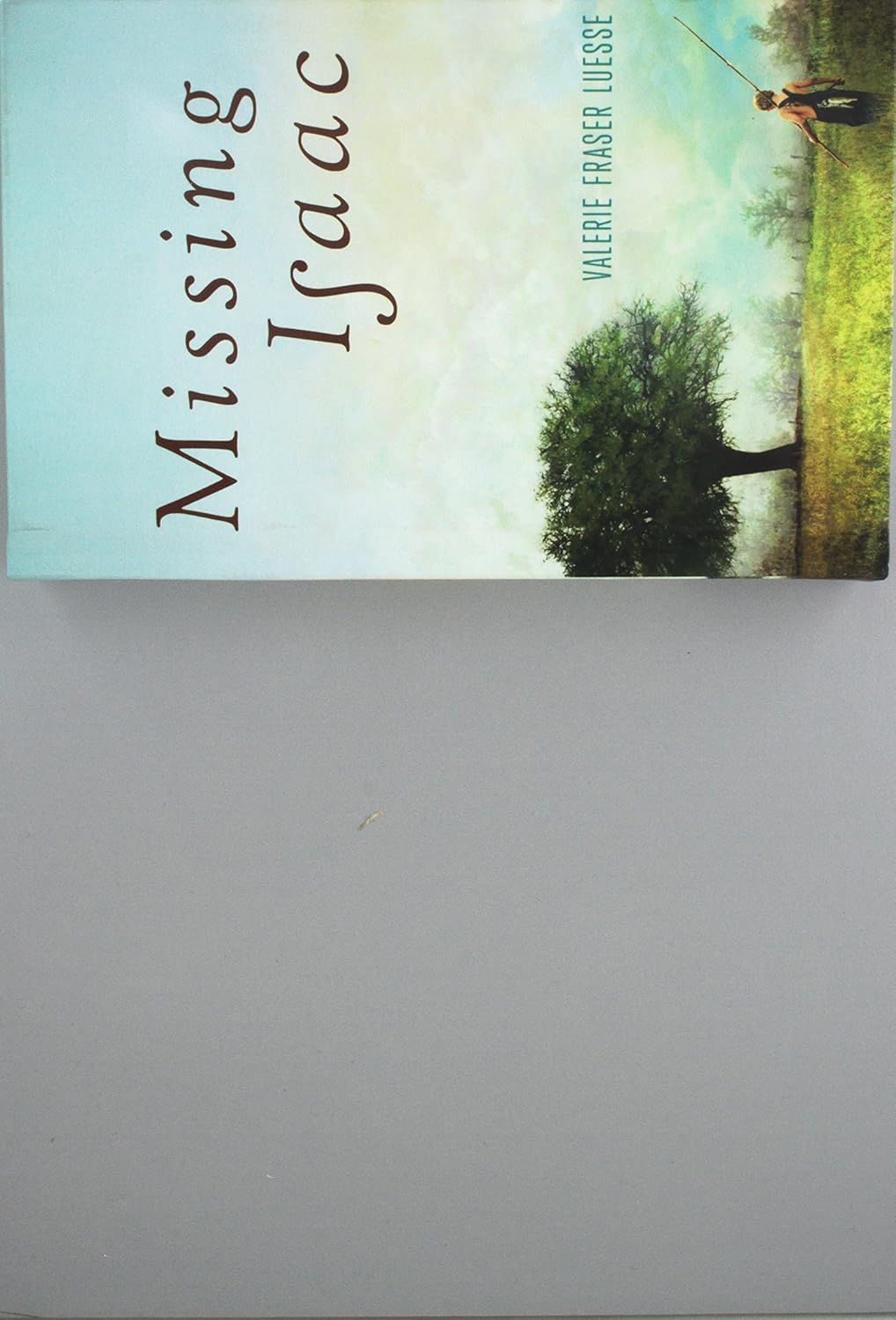 Missing Isaac: Luesse, Valerie Fraser: 9780800734831: Amazon.com: Books