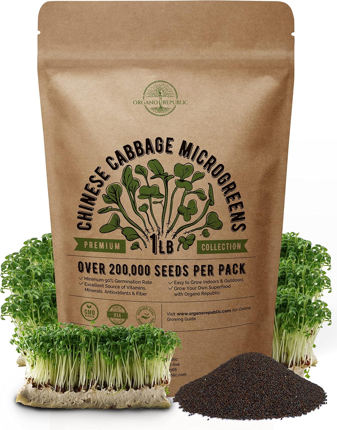 Amazon.com : Organo Republic Chinese Cabbage Sprouting & Microgreens ...