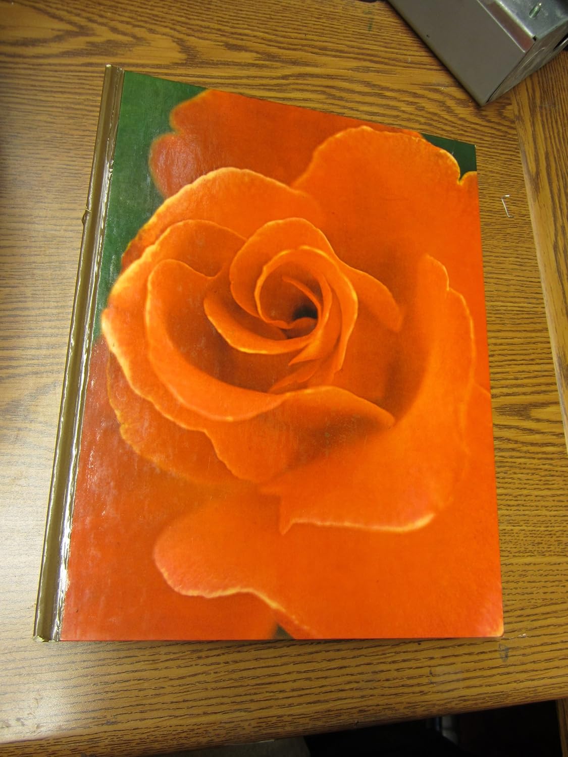 Roses: Amazon.co.uk: 9780809410859: Books