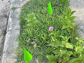 Amazon.com: White Marking Flags 1000 Pack - 4x5-Inch Marker Flags - 15 ...