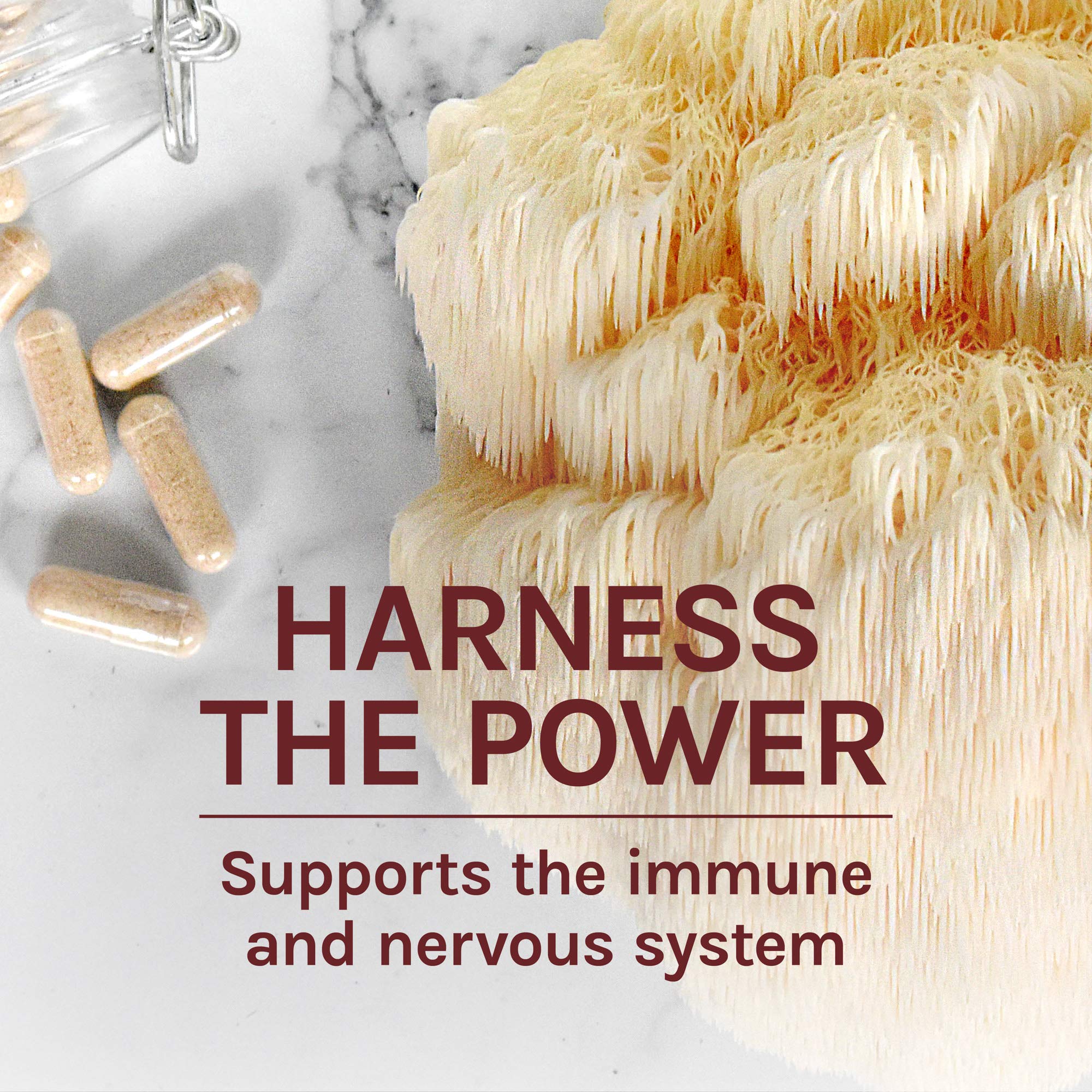 Snapklik.com : Host Defense Mushrooms Lions Mane - Brain Health Support ...