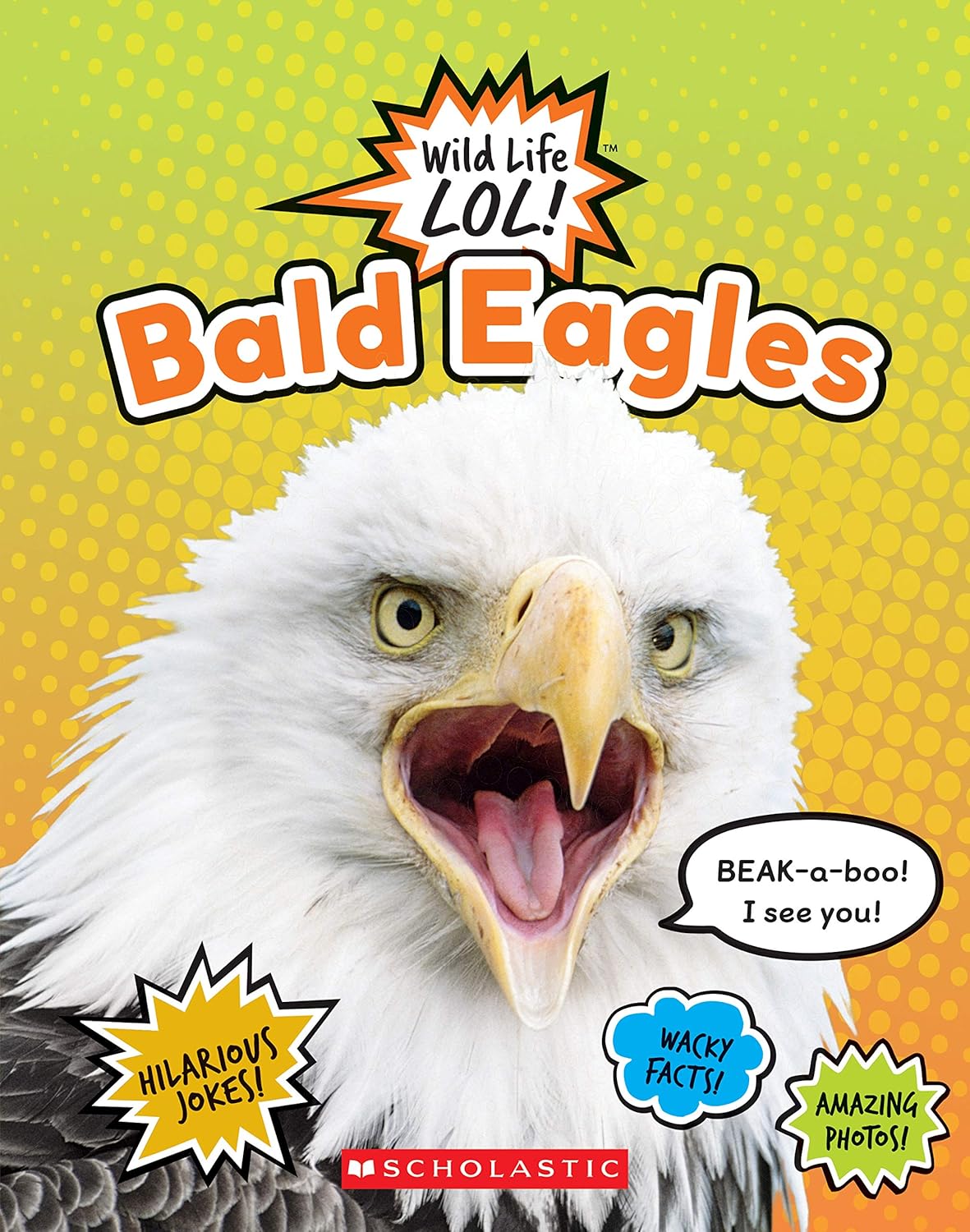 Bald Eagles (Wild Life LOL!): Scholastic: 9780531234860: Amazon.com: Books