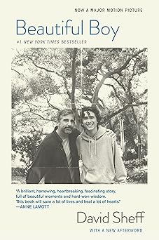 Beautiful Boy: A Heartbreaking Memoir of a Father's Struggle with His ...