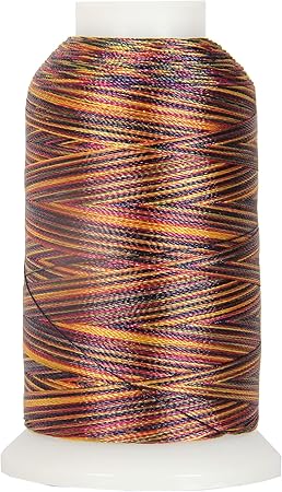 Amazon.com: Threadart Variegated Polyester Embroidery Thread - 40wt ...