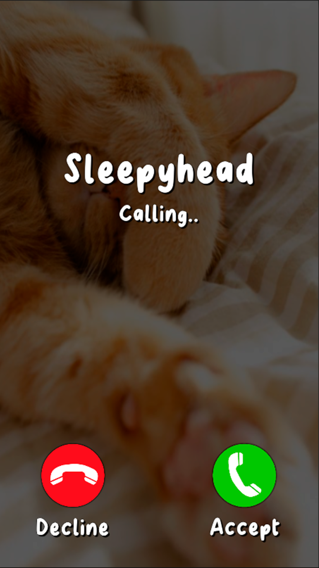 Cat Fake Video Call Prank - App on Amazon Appstore