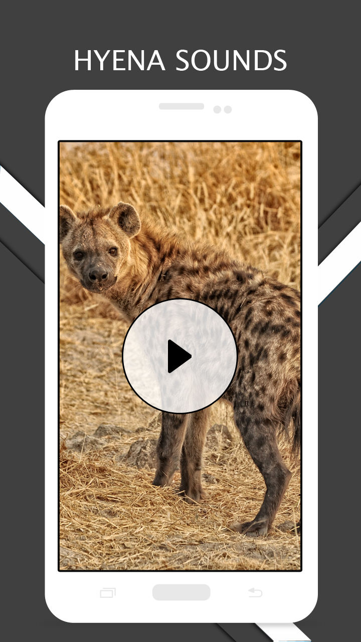 Hyena Sounds And Ringtones - App on Amazon Appstore