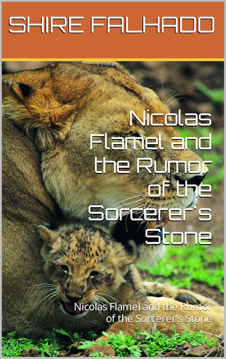 Nicolas Flamel and the Rumor of the Sorcerer's Stone: Nicolas Flamel ...