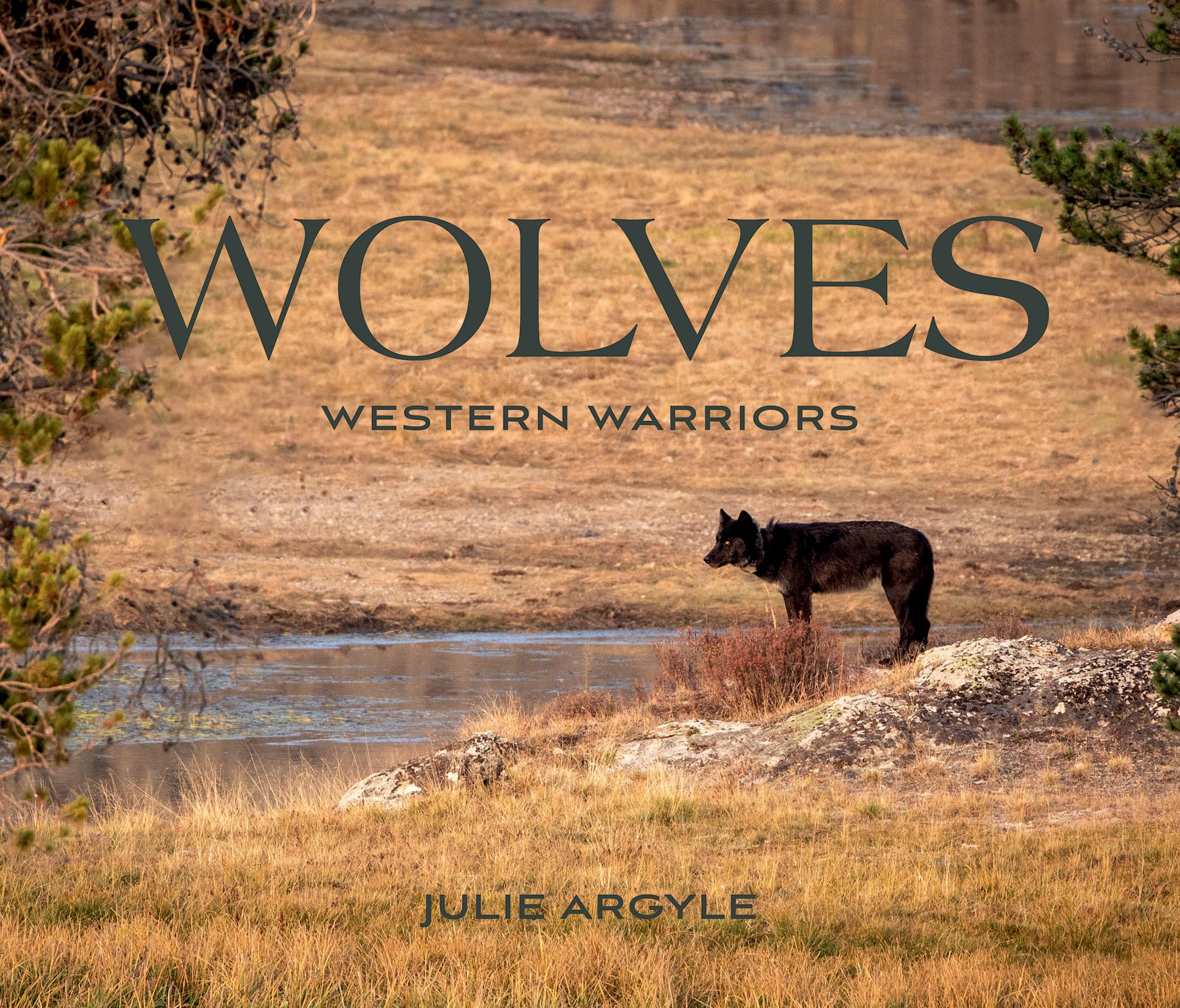 Amazon.com: Wolves: Western Warriors: 9781423660361: Argyle, Julie: Books