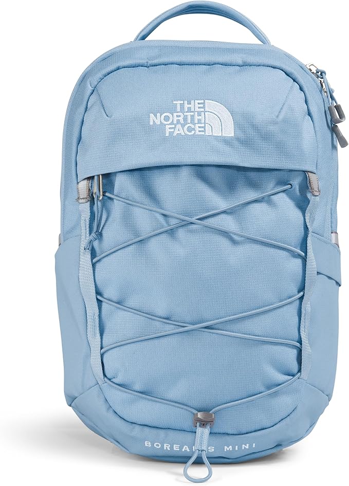 Amazon.com: The North Face 10L Mini Borealis Every Day Backpack, Steel ...