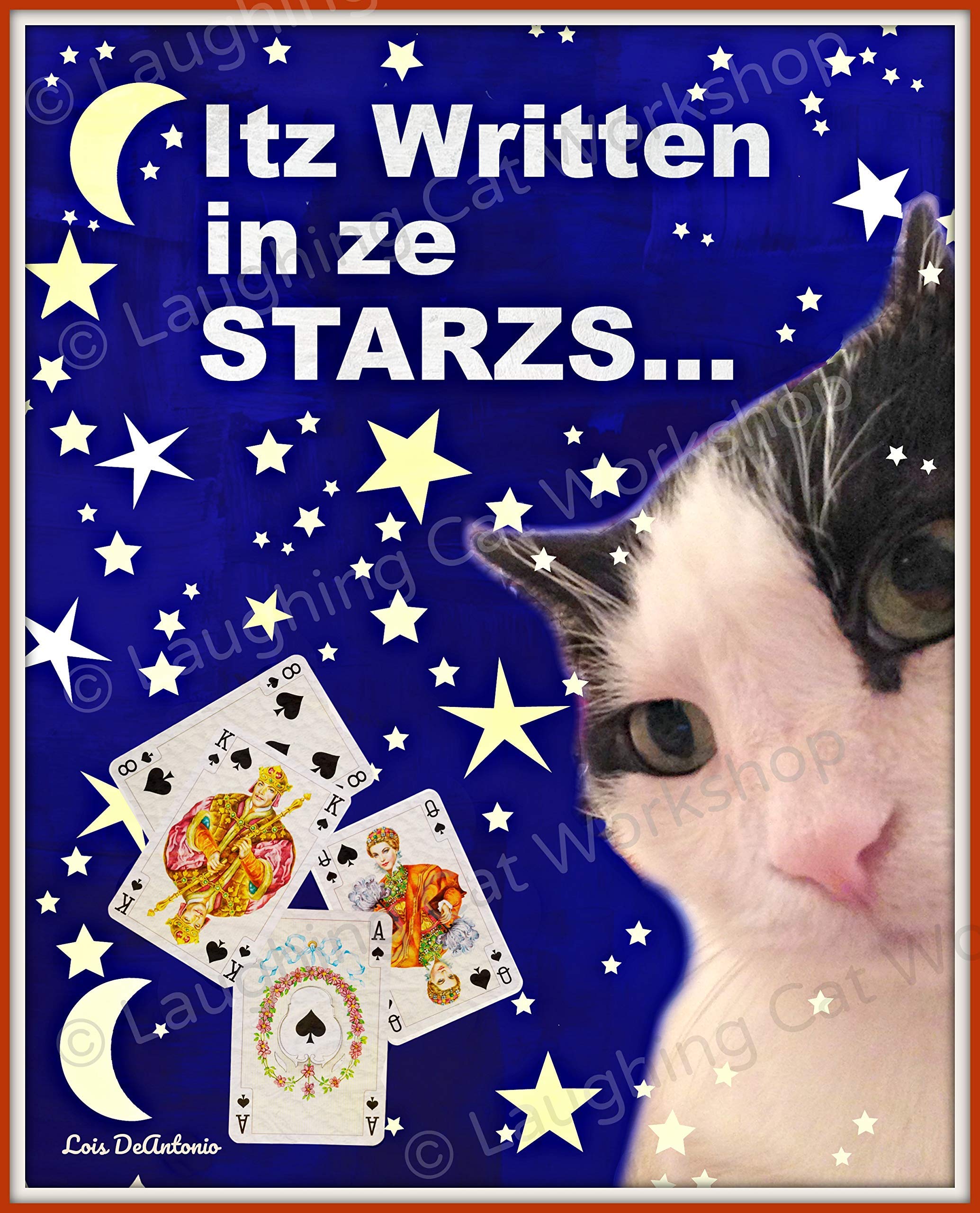 Magic Cats Memes Black Cat Magic Overload: Voids, Black Holes, And