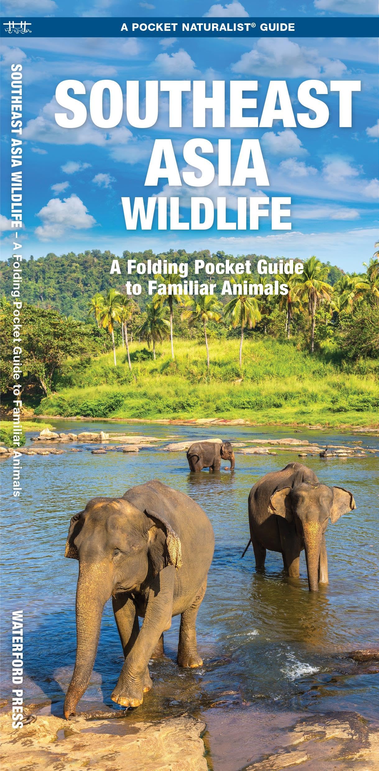 Southeast Asia Wildlife: A Folding Pocket Guide to Familiar Animals (A ...