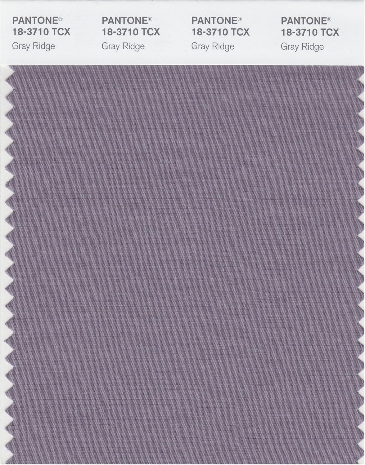 PANTONE Smart 18-3710X Color Swatch Card, Gray Ridge - House Paint ...