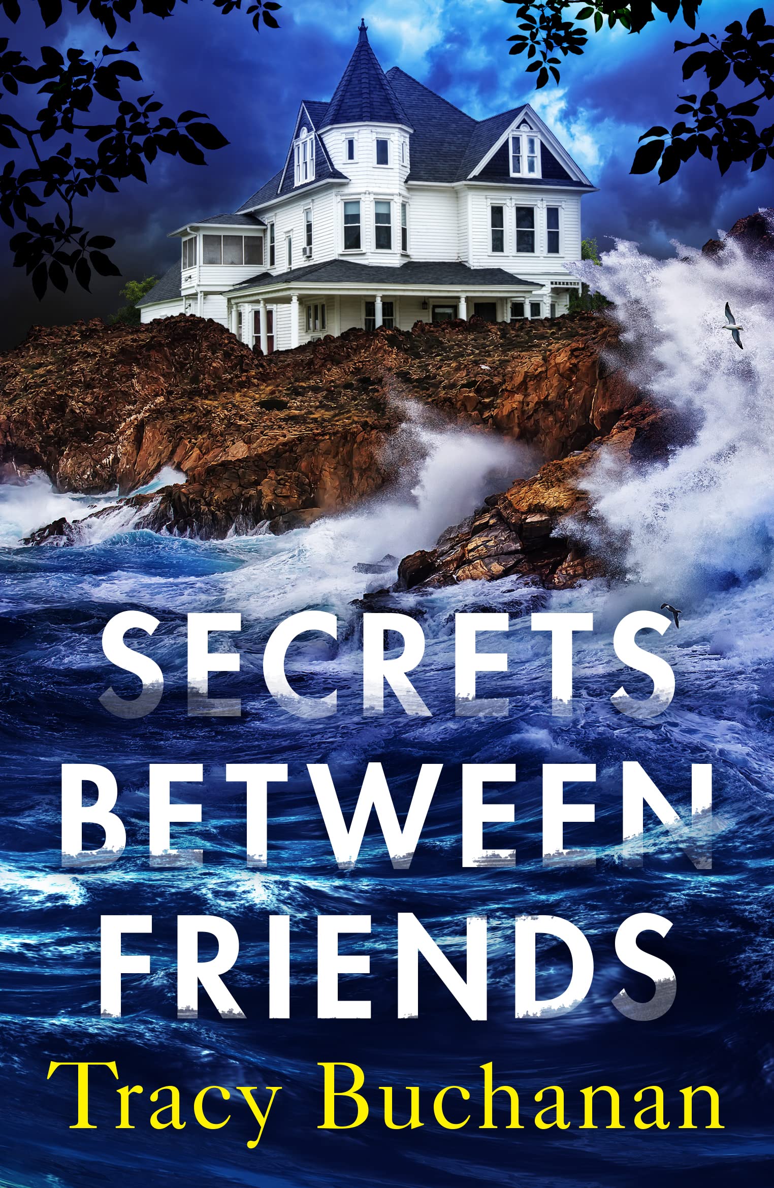 Amazon.com: Secrets Between Friends: 9781542032223: Buchanan, Tracy: Books