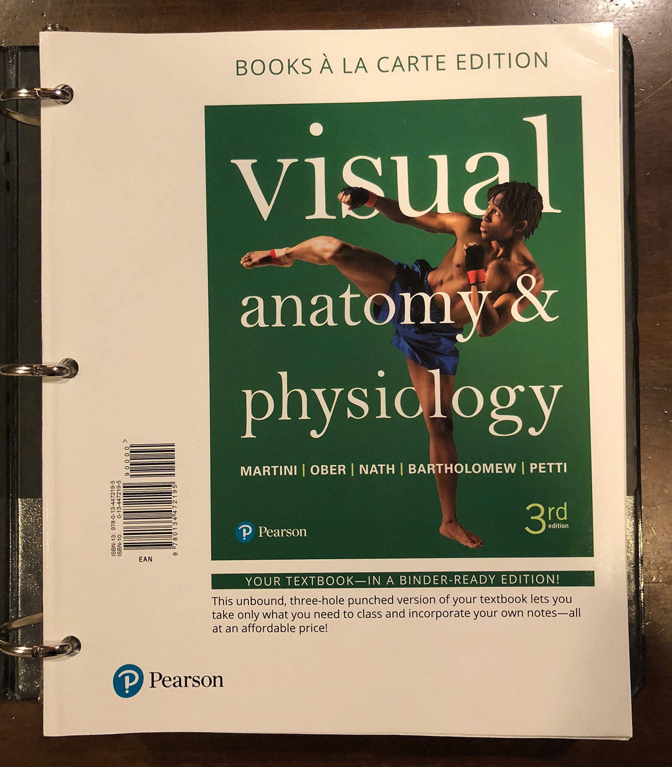 Amazon.com: Visual Anatomy & Physiology: 9780134472195: Martini ...