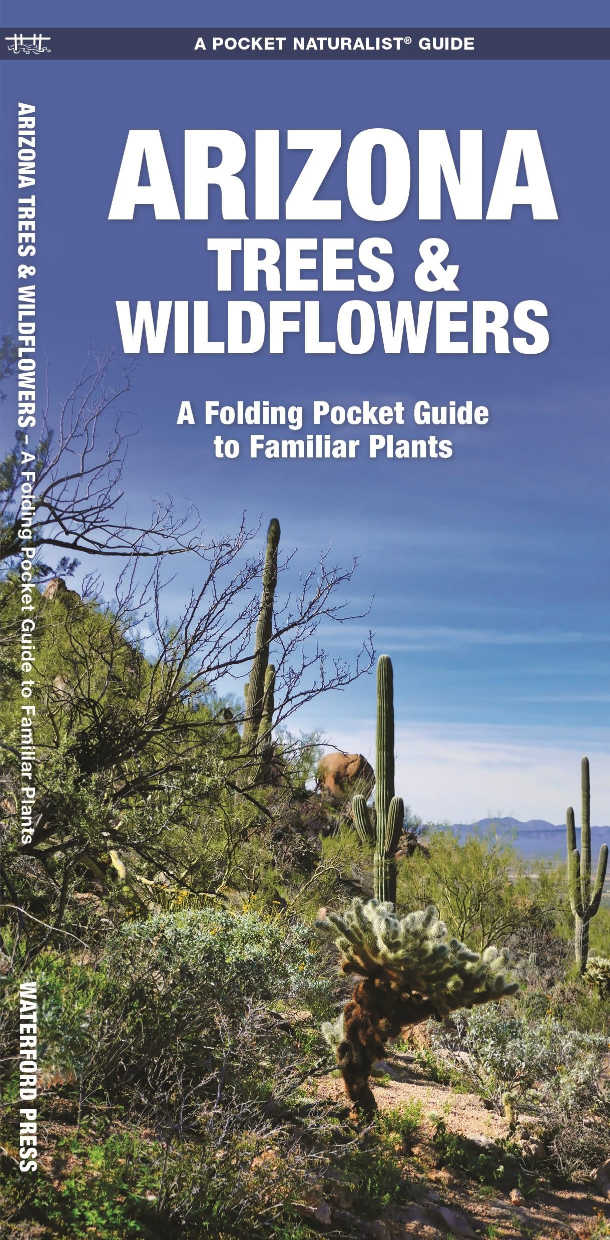 Arizona Trees & Wildflowers: A Folding Pocket Guide to Familiar Plants ...