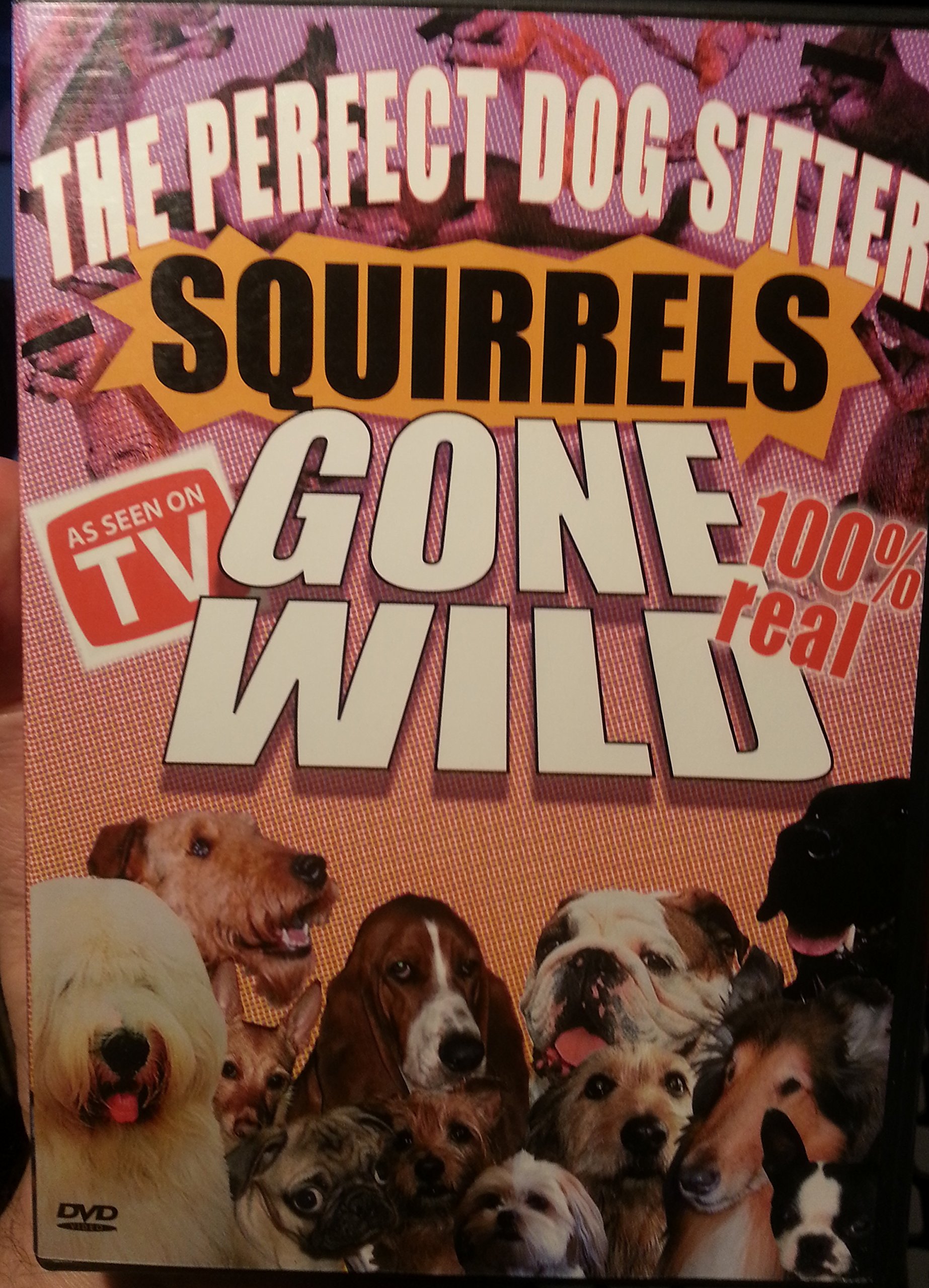 Amazon.com: Squirrels Gone Wild : Movies & TV